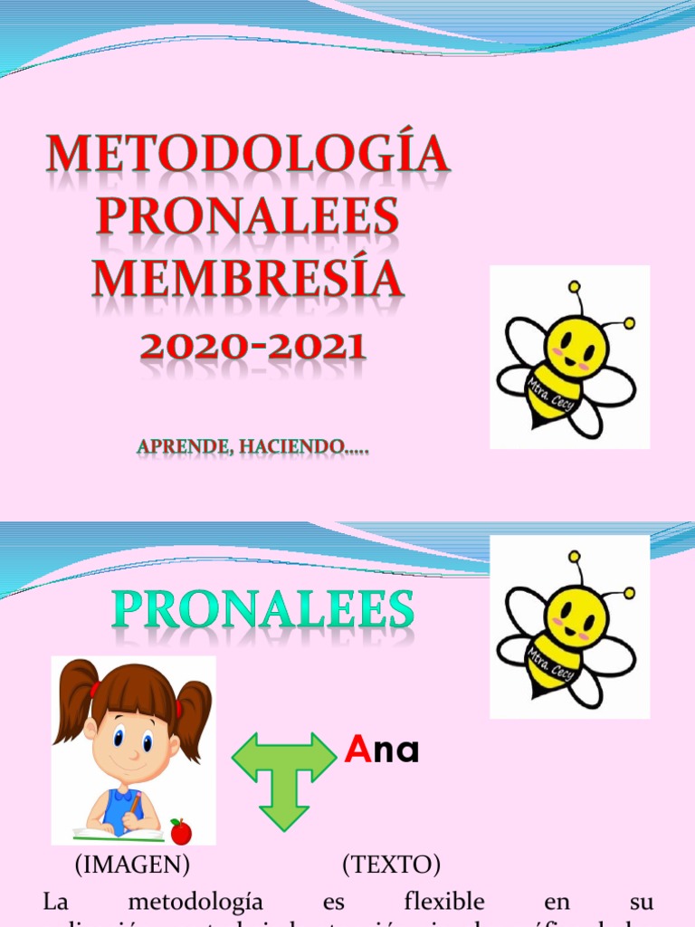 Taller Pronalees Pdf Lingüística Comunicación