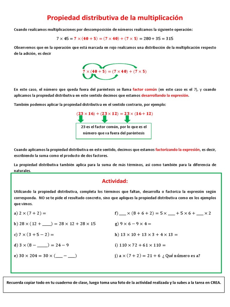 Propiedad Distributiva de La Multiplicacion PDF | PDF