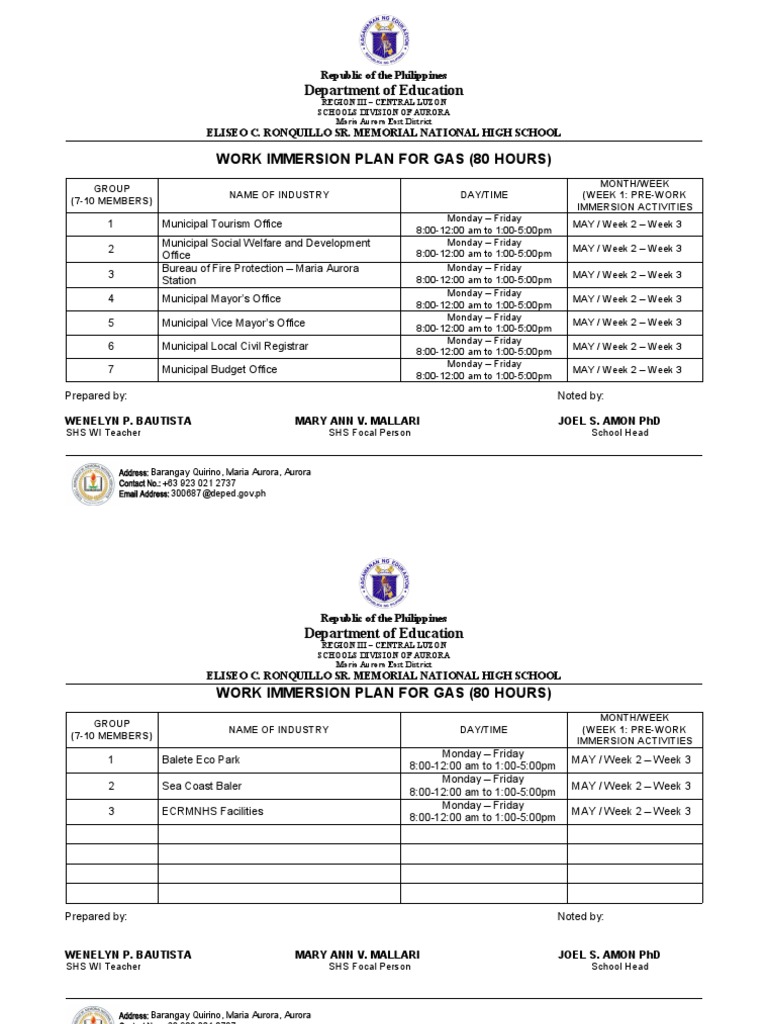 Work Immersion Plan For GAS | PDF | Government | Philippines