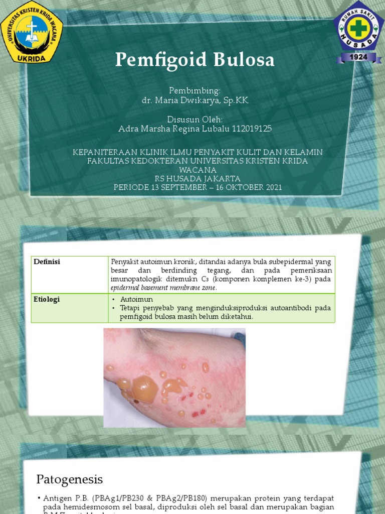 Pemfigoid Bulosa | PDF