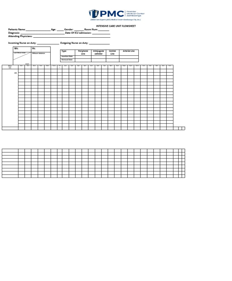 ICU Flowsheet Documentation Guide | PDF