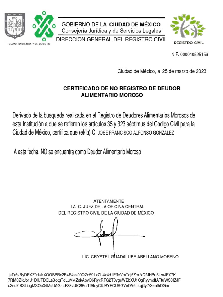 Como Saber Si Estoy En El Registro Nacional De Deudores