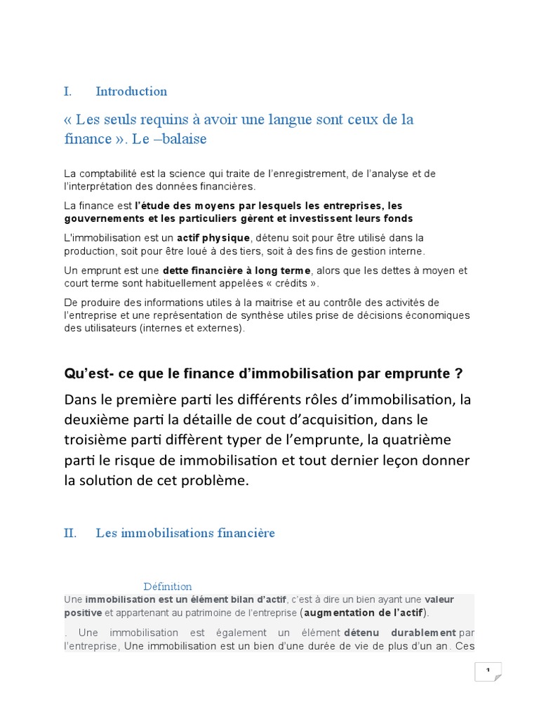 Projet Final PPP | PDF | Prêts | Immobilisations