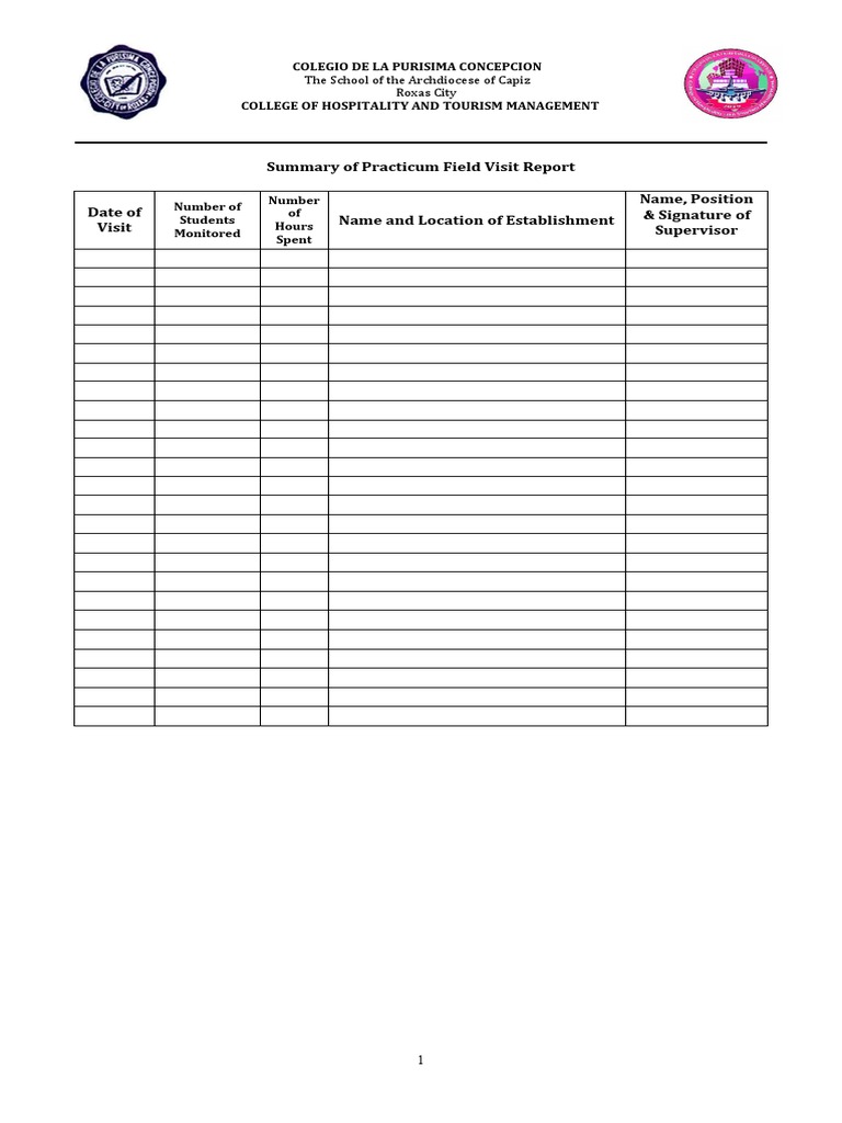 Practicum Field Visit Report Summary | PDF