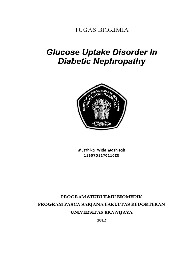 Mekanisme Nefropati Diabetes dan Glukosa | PDF