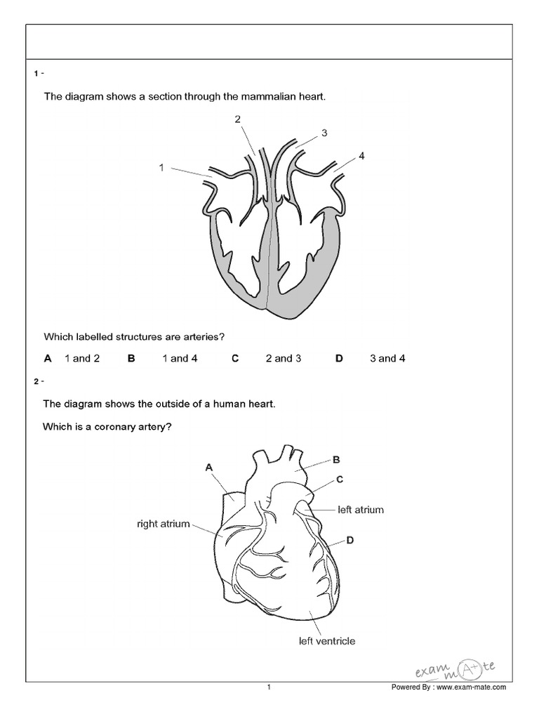 Q - BIOLOGY CHAPTER 9 TRANSPORT IN ANIMALS - Mode - 1 | PDF