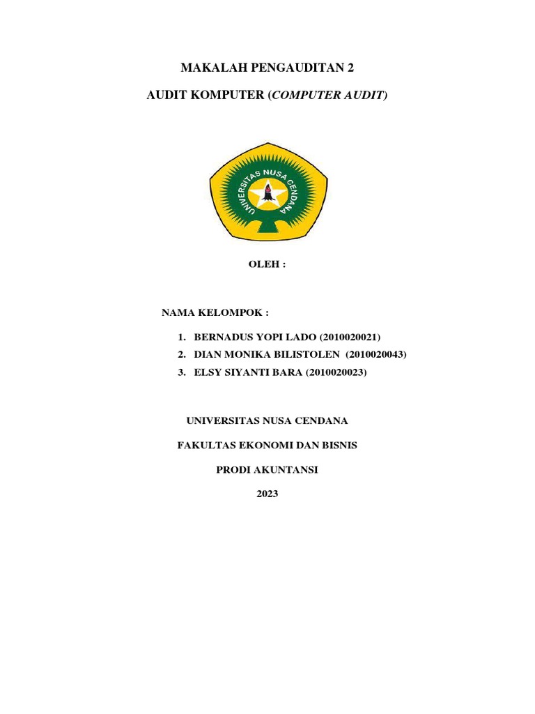 Makalah Pengauditan 2 (Computer Audit) | PDF