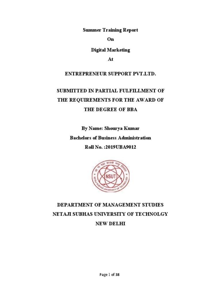 Summer Training Report | PDF | Digital Marketing | Popular Culture & Media Studies