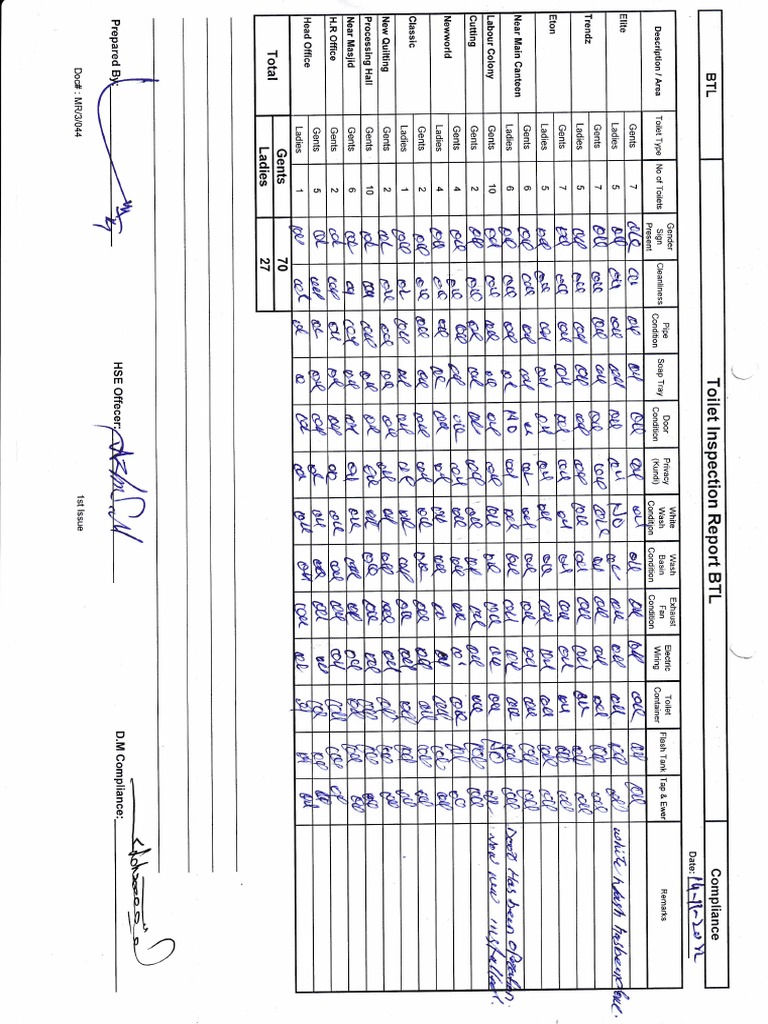 Toilet Inspection Report | PDF