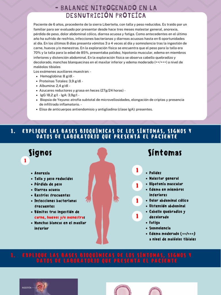 Balance Nitrogenado en La Desnutrición Proteíca | PDF | Excreción ...