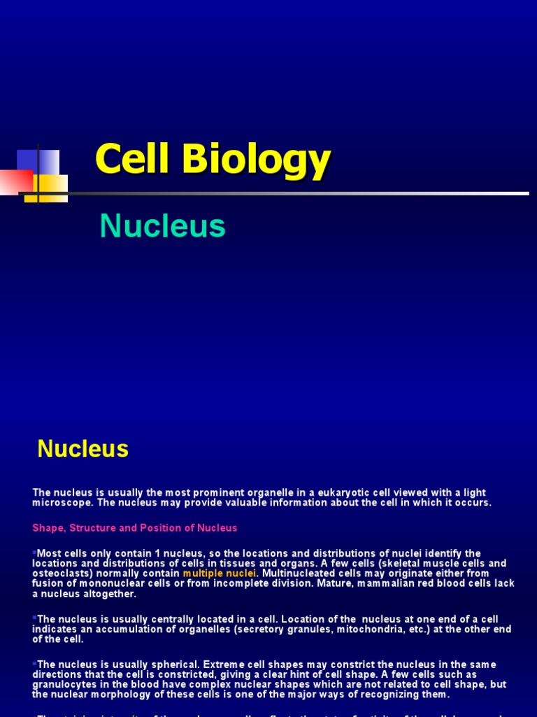 Nucleus | PDF | Cell Nucleus | Cell (Biology)