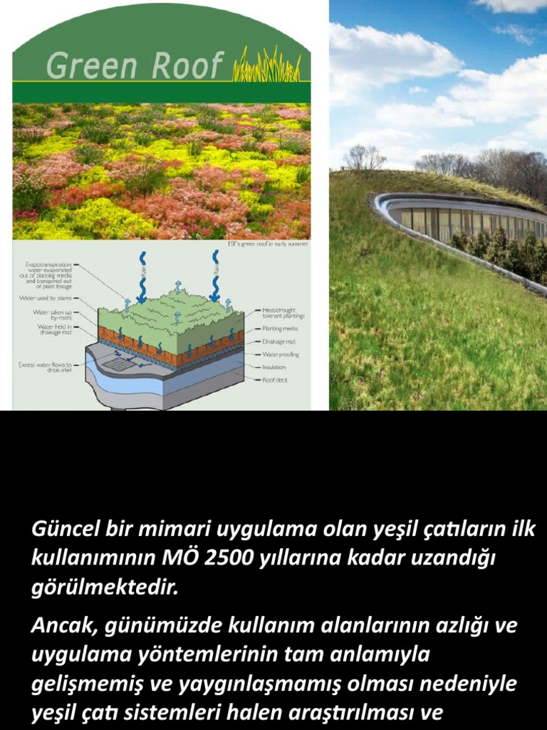 D1-YESIL CATILAR.pptx | PDF