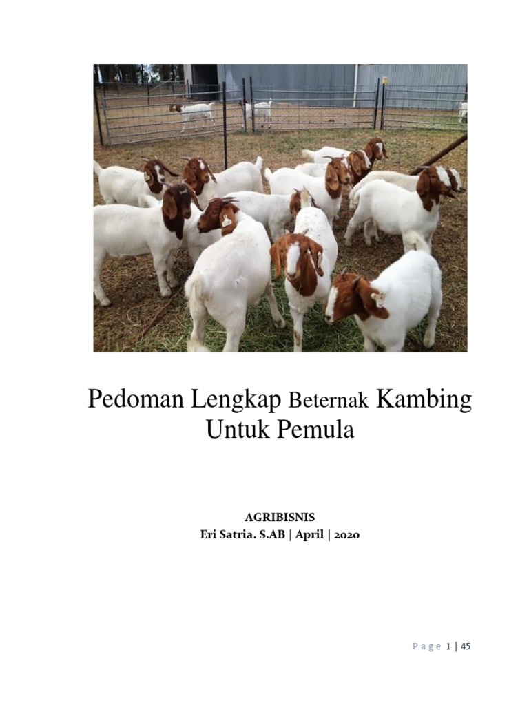 Beternak kambing | PDF