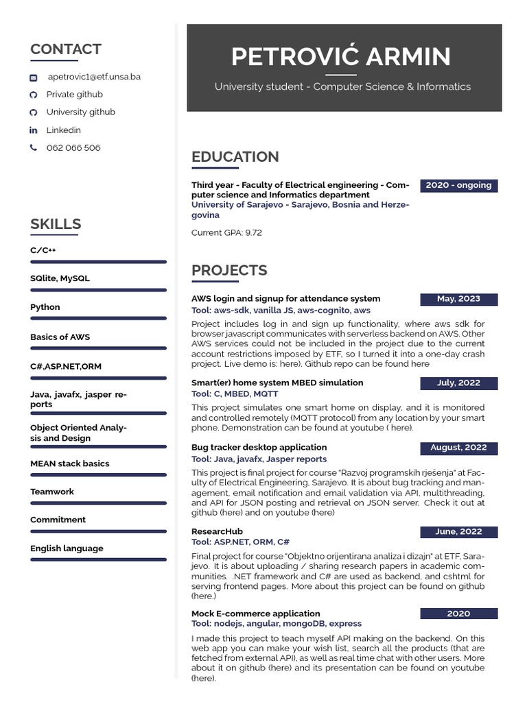 Petrovic Armin CV | PDF | Java Script | Information Technology