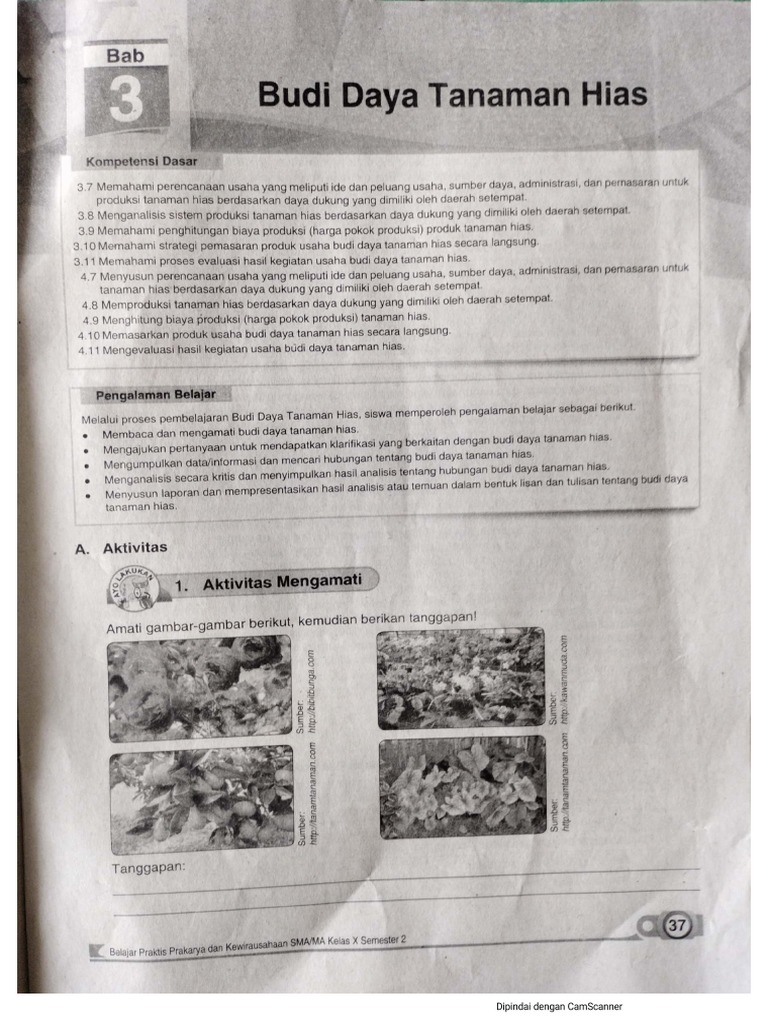 Smt2 Bab 3 Prakarya Pdf