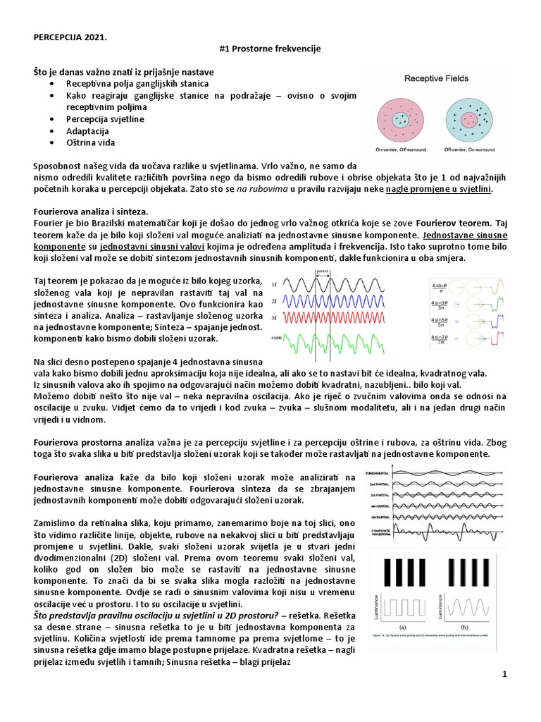 Percepcija I Paznja-1 | PDF