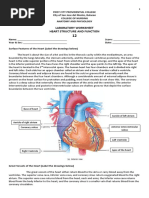 Pig Heart Dissection Manual STEM | PDF | Heart Valve | Atrium (Heart)
