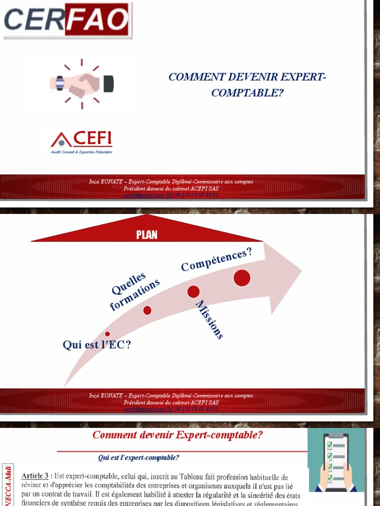 Devenir Expert-Comptable | PDF | Audit | Économie d'entreprise