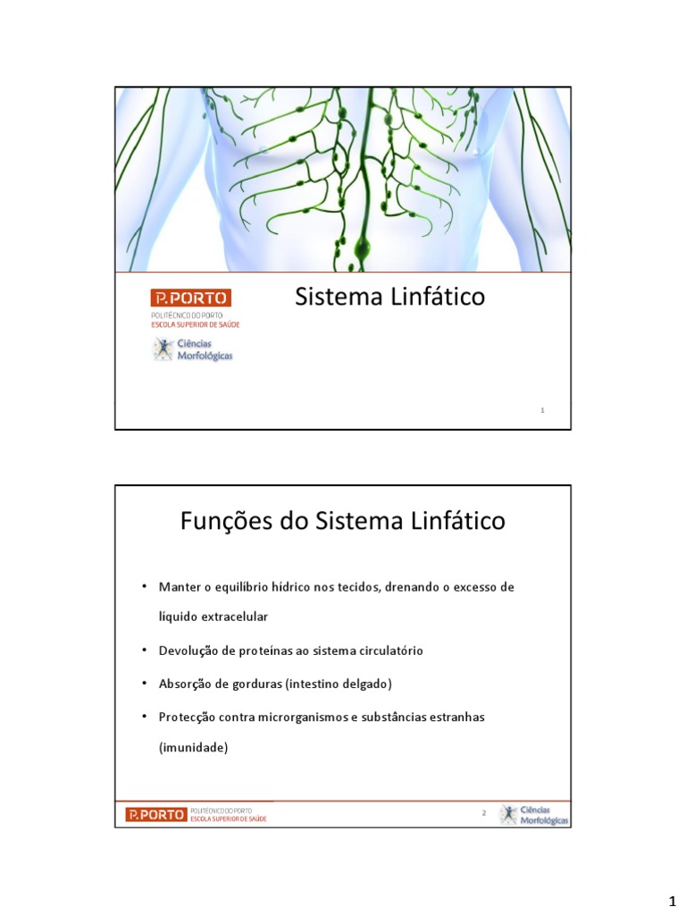Ess Anatomia1 Sistema Linfático 2017 Pdf Download Grátis Pdf