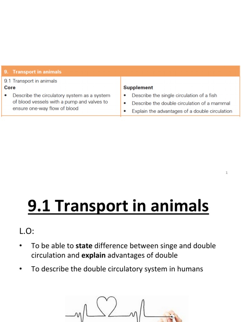 9.1 Transport in Animals | PDF
