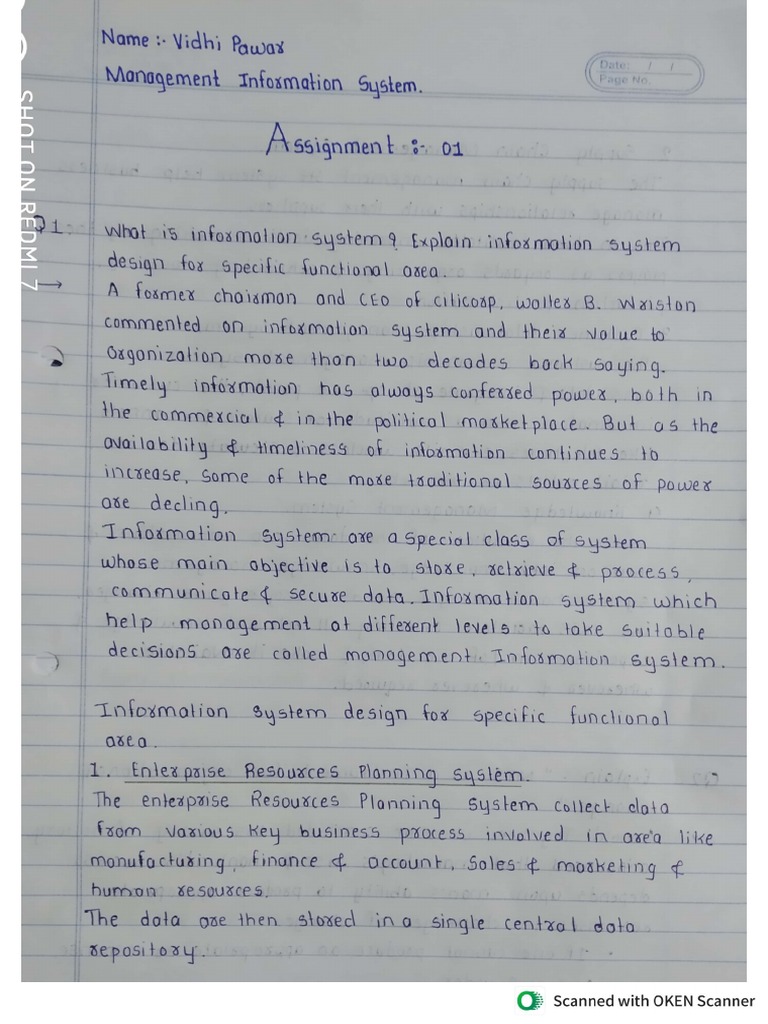 MIS Assignment 1 PDF | PDF