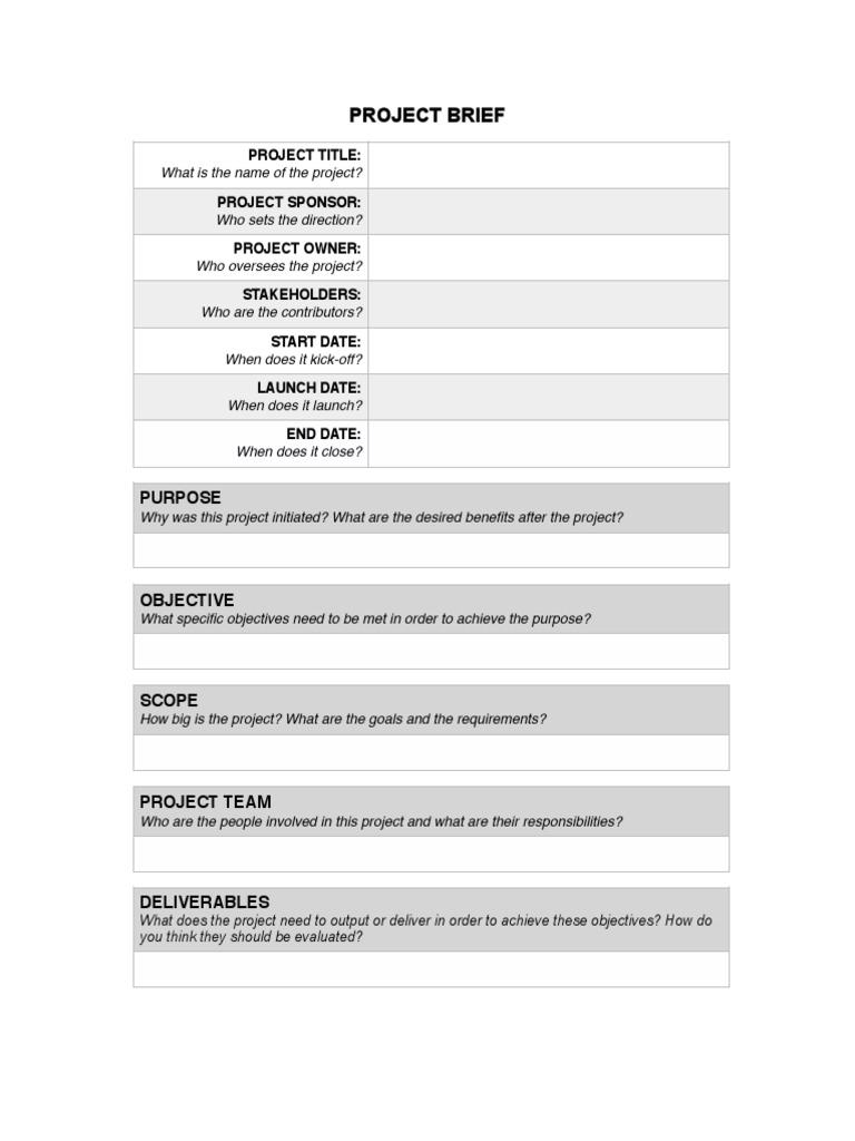Project Brief Template - PDF PDF | PDF