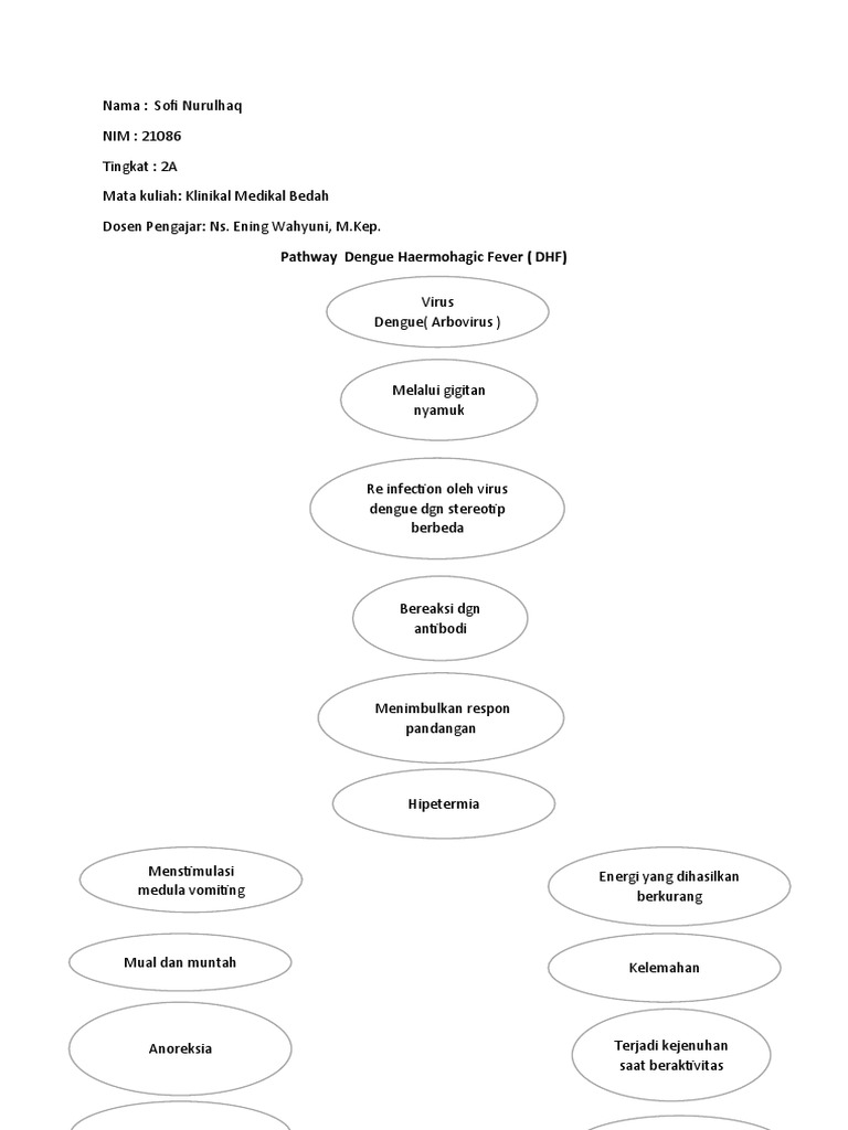 Tugas KMB - Pathway DHF - 3A - Sofi Nurulhaq | PDF