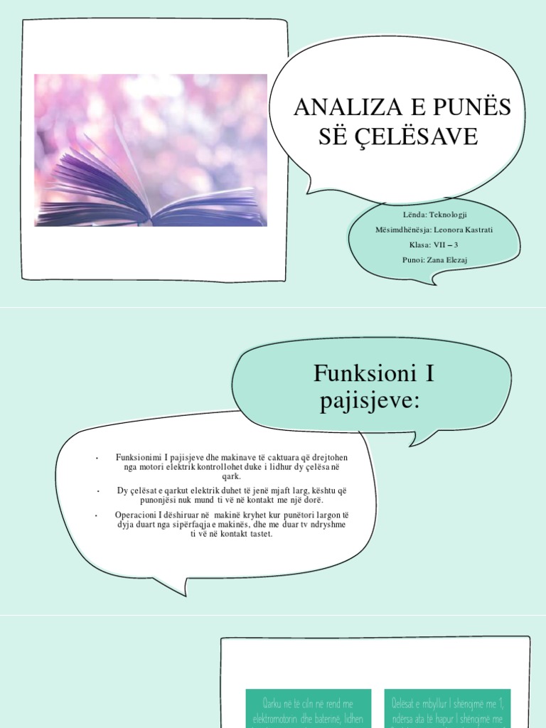 Analiza e Punes Se Qelesave PDF | PDF