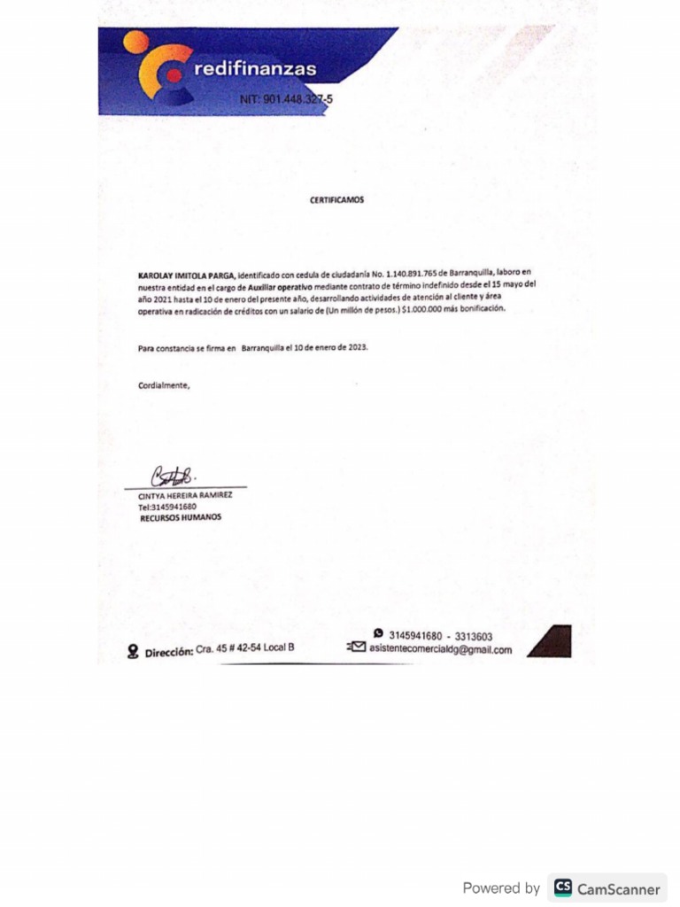 Referencia Laboral | PDF