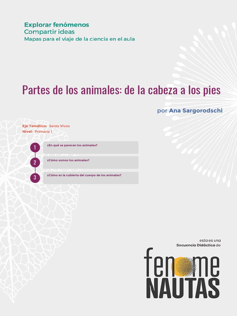 Partes de Los Animales - de La Cabeza A Los Pies | PDF | Piel | Vertebrados
