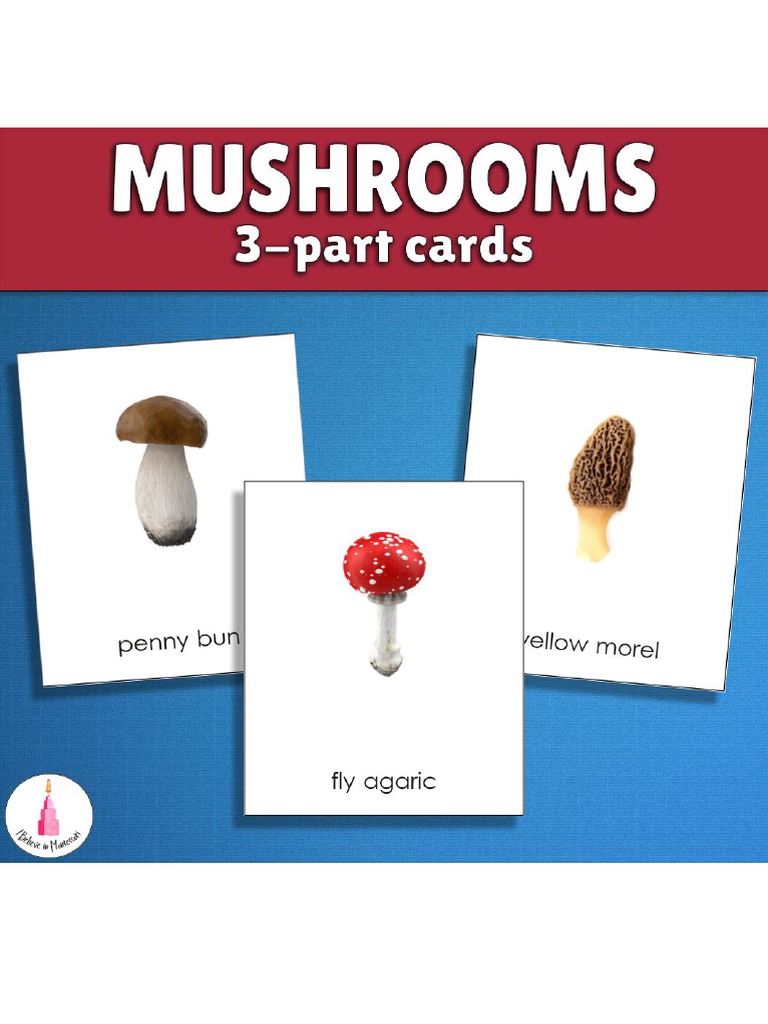 Montessori Mushroom Fungi 3 Part Cards | PDF