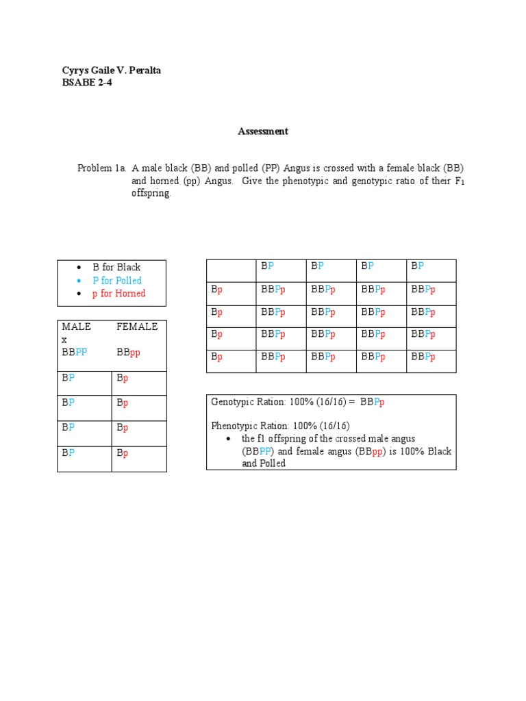 BBPP x BBpp Angus Crossbreeding Analysis | PDF | Genotype | Sheep