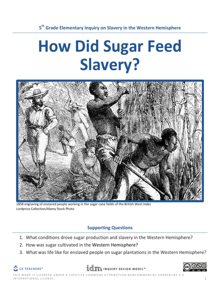 Sugar's Role in Atlantic Slavery | PDF | Atlantic Slave Trade | Sugarcane
