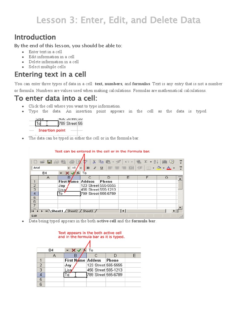 Lesson 3 - Enter, Edit, and Delete Data | PDF | Microsoft Excel ...
