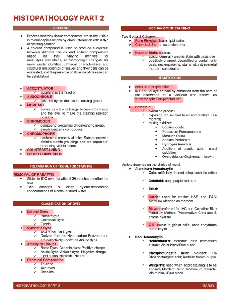 An In-Depth Examination of Histopathology Staining Techniques ...