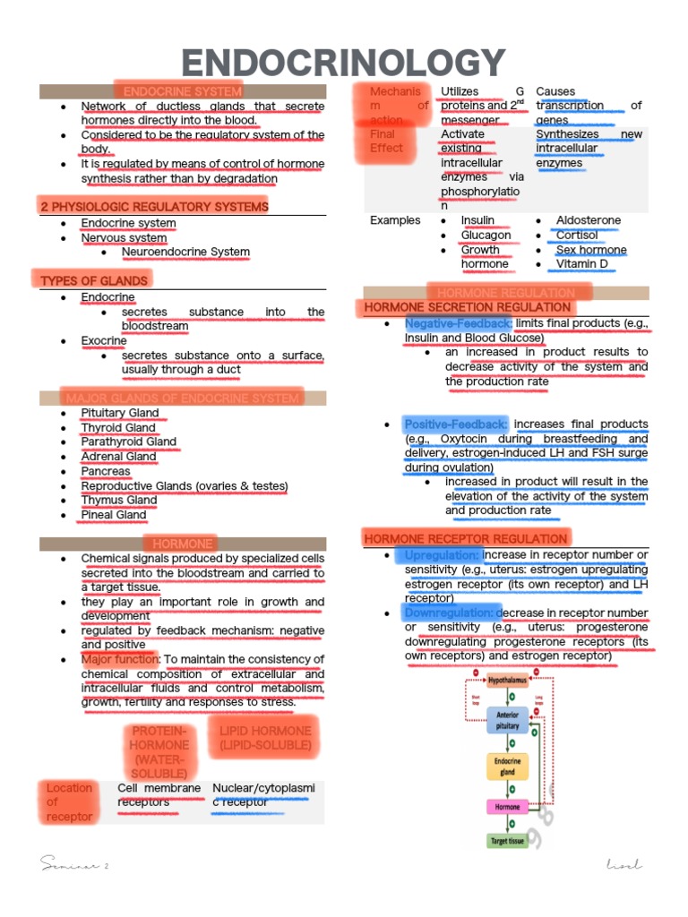 Endocrinology PDF | PDF | Endocrine System | Thyroid Stimulating Hormone