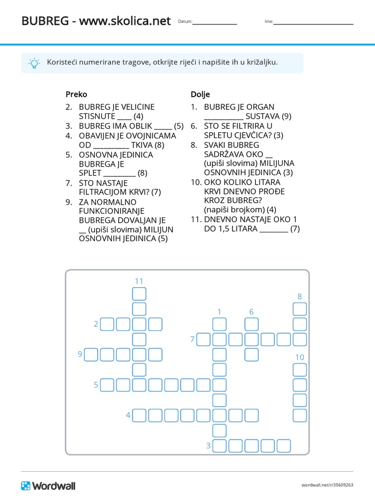 Bubreg Ispit Biologija 8 Razred | PDF