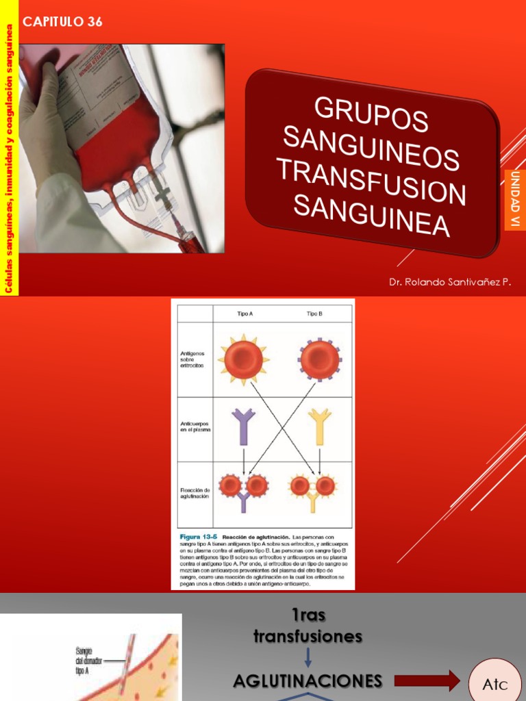Capitulo. 36 Grupos Sanguineos Transfusión Trasplante de Organos y Tejidos | PDF | Anticuerpo ...