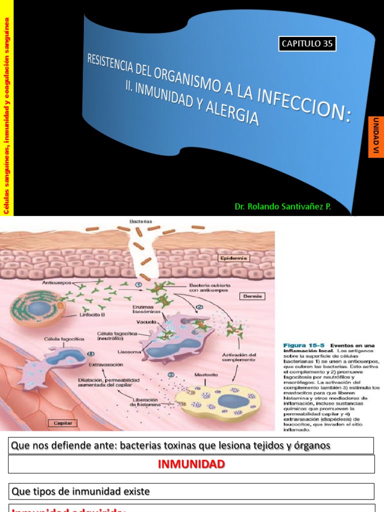 Capitulo 35. Resistencia Del Organismo A La Infección Ii. Inmunidad y Alergia | PDF | Linfocitos ...