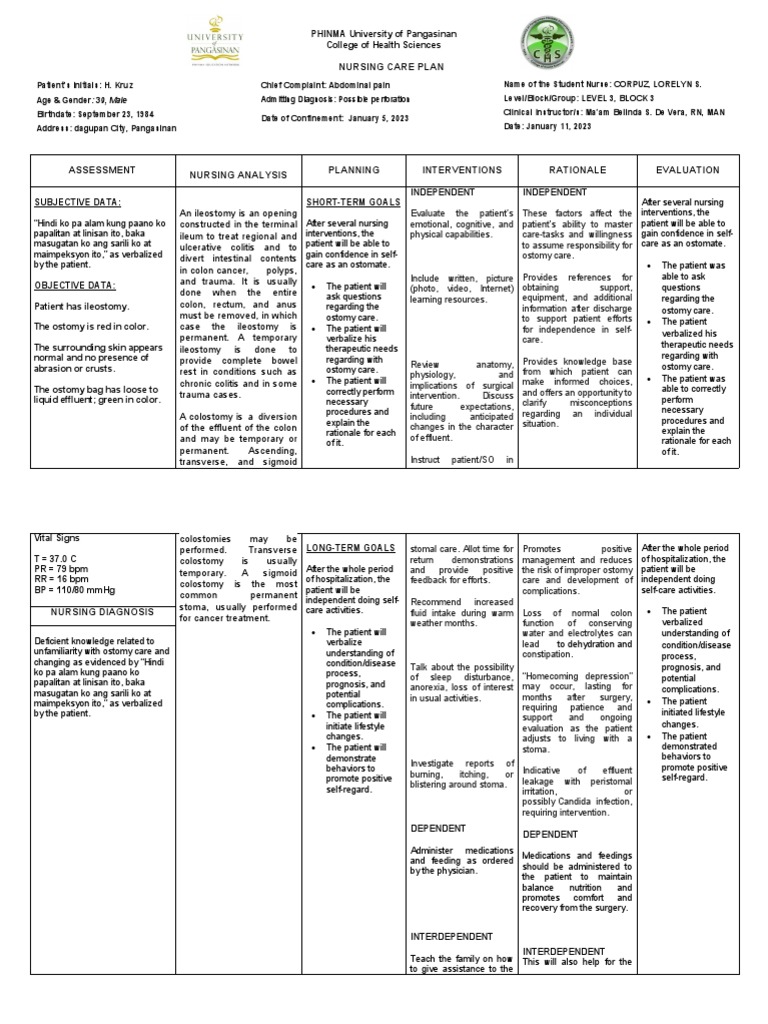 Corpuz, Lorelyn S - NCP (Colostomy and Ileostomy) | PDF ...