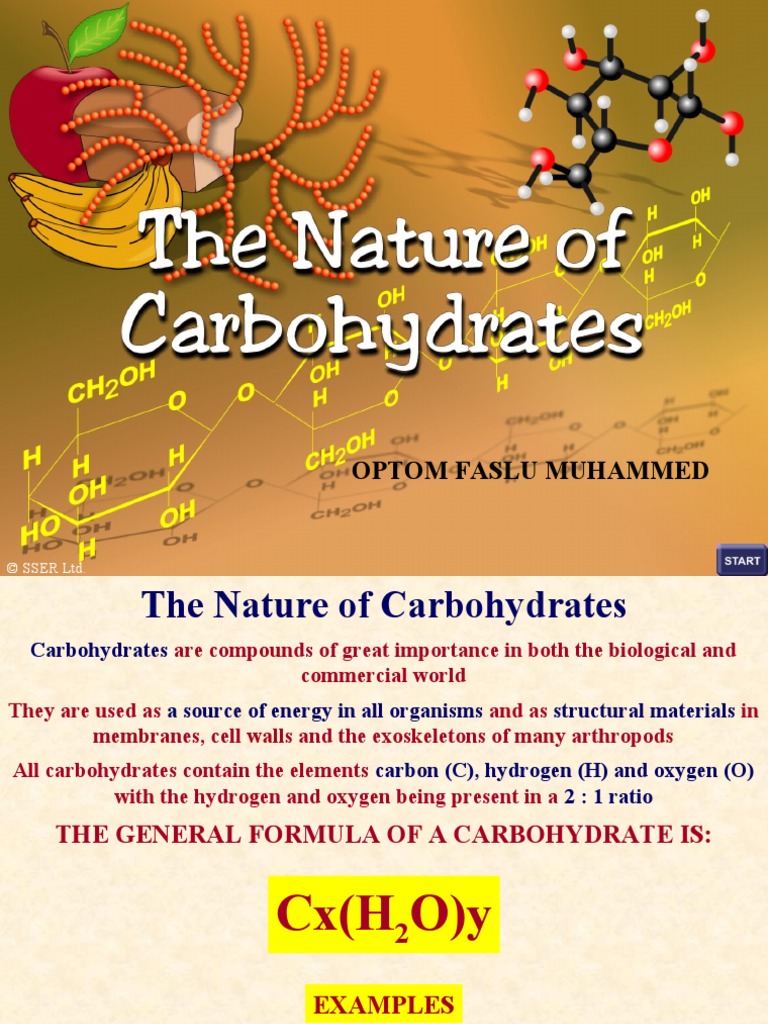 The Nature of Carbohydrates PDF | PDF | Carbohydrates | Polysaccharide