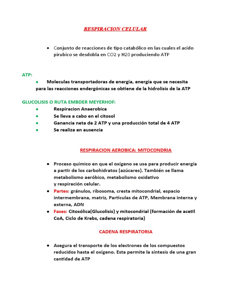 Respiracion Celular | PDF