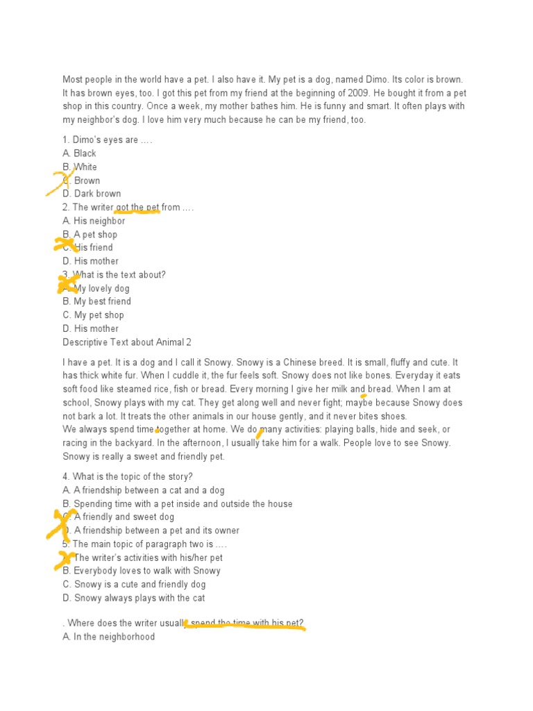 Bahasa Inggris 7 Pdf Cats Animals And Humans