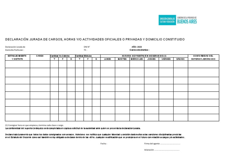 Declaracion Jurada de Cargos 2023 -MODELO.xlsx | PDF
