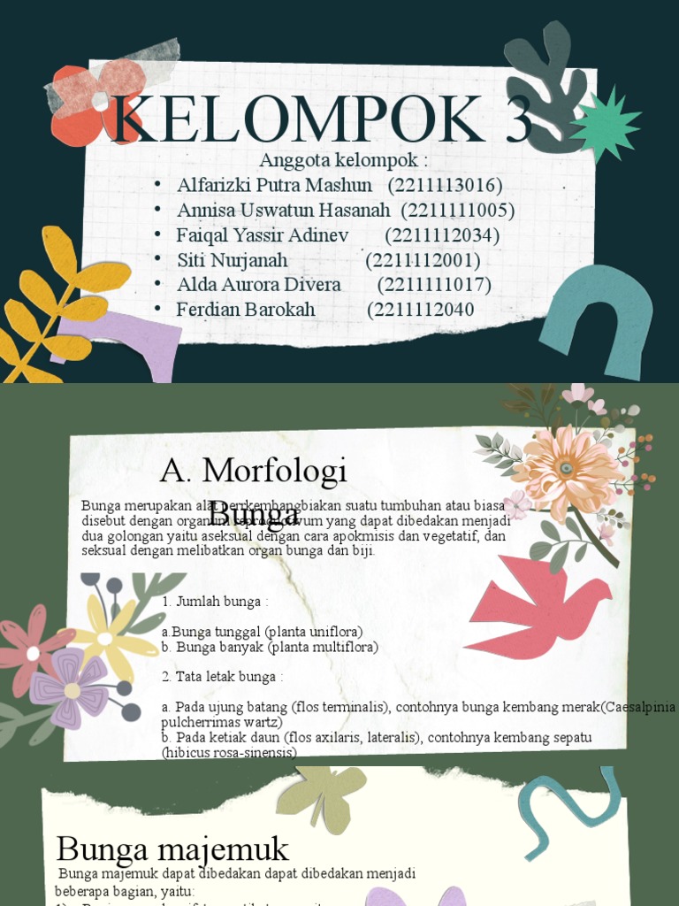 Morfologi Bunga, Buah, Biji Kelompok 3 | PDF