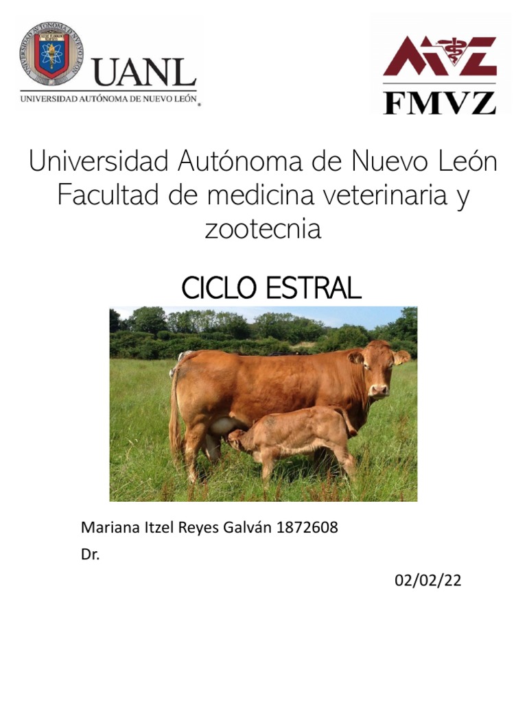 Ciclo Estral | PDF | Reproducción | Reproducción sexual