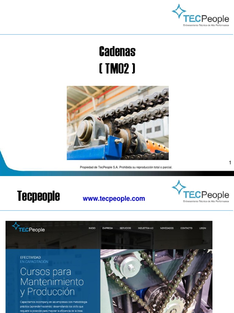 2 Manual-Cadenas-elearning-Clase-2-Rev.1 | PDF | Engranaje | Rodamiento ...