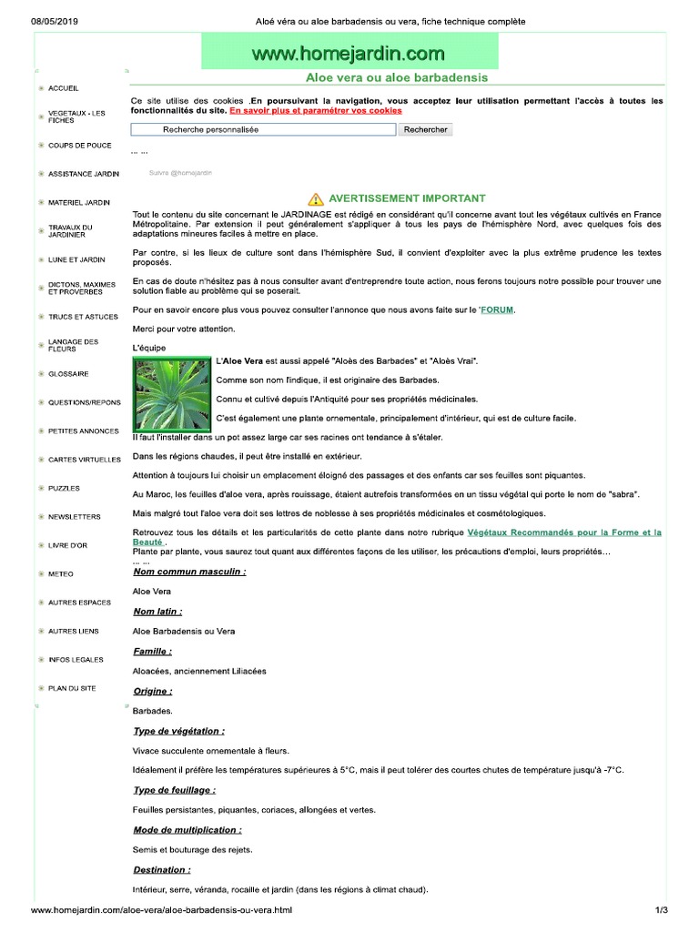 Cultiver et utiliser l'aloe vera | PDF | Technologie et ingénierie