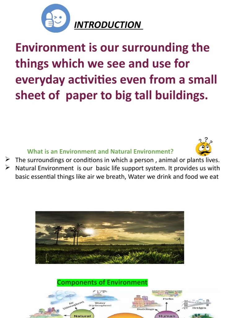 Understanding Natural Environment for Class 7 | PDF | Science & Mathematics