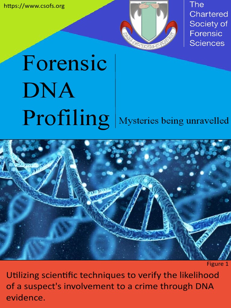 Forensic Dna Profiling | PDF | Dna Profiling | Dna